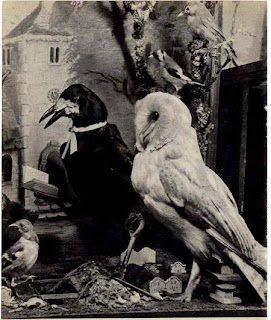 Bad Habits: Barnyard Freak